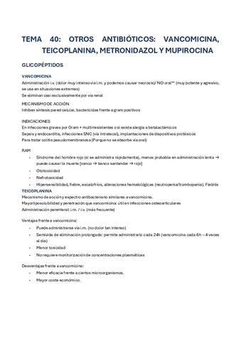 Tema-40.pdf