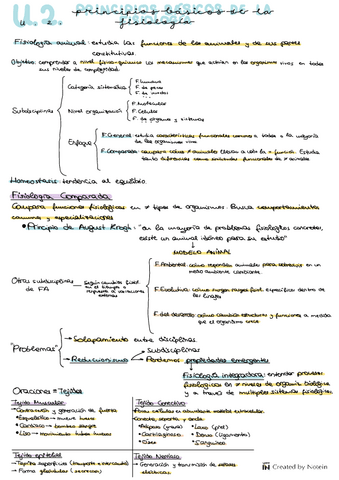 Resumen-FA.-U2.-PRINCIPIOS-BASICOS.pdf