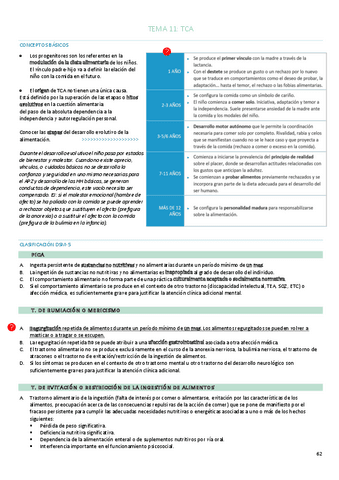 Resumen-Ninez-Tema11.pdf