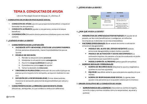T9-ESQUEMA-PSICO-SOCIAL.pdf