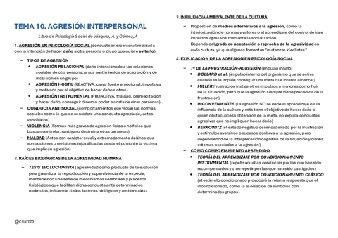 T10-ESQUEMA-PSICO-SOCIAL.pdf