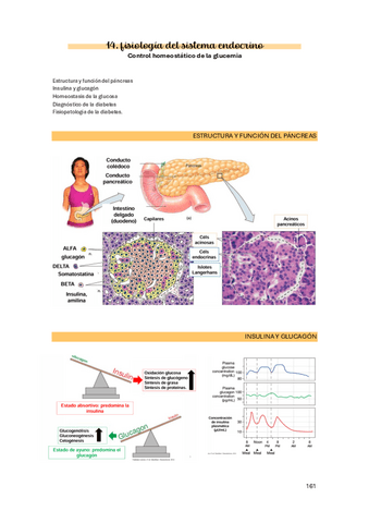 T14.-FISIO-JULIA-ROMO.pdf