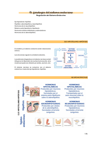T15.-FISIO-JULIA-ROMO.pdf