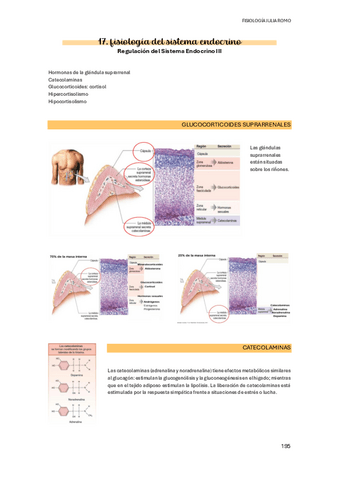T17.-FISIO-JULIA-ROMO.pdf