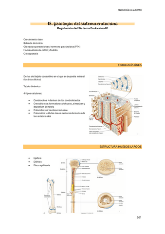 T18.-FISIO-JULIA-ROMO.pdf