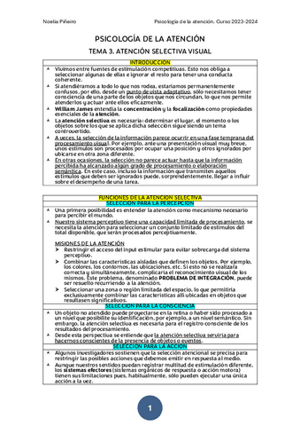 TEMA-3.-ATENCION-SELECTIVA-VISUAL.-Noelia-Pineiro..pdf