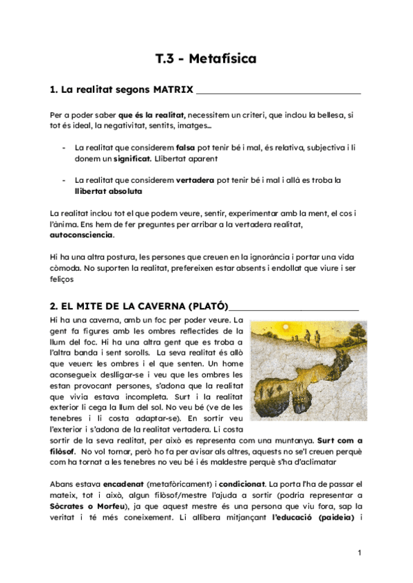 T.3-Metafisica.pdf