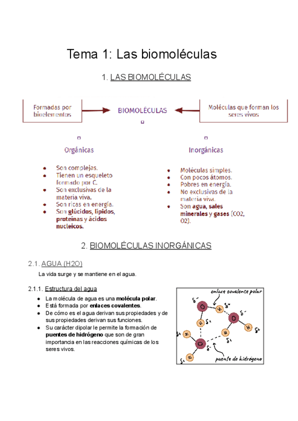 LAS-BIOMOLECULAS.pdf
