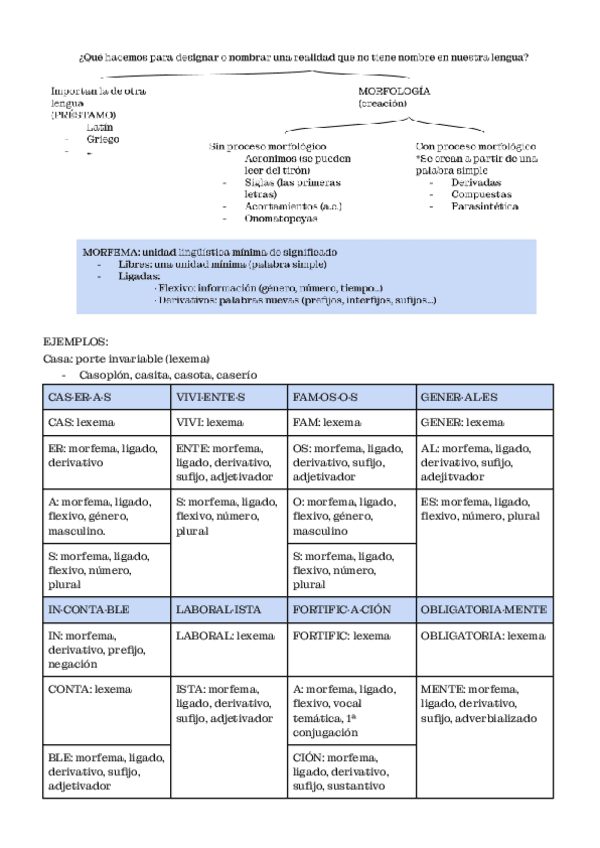 LENGUA-MORFOLOGIA-EVAU.pdf