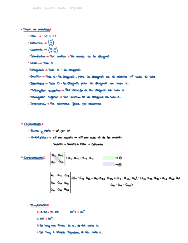 Resumen-Matrices.pdf