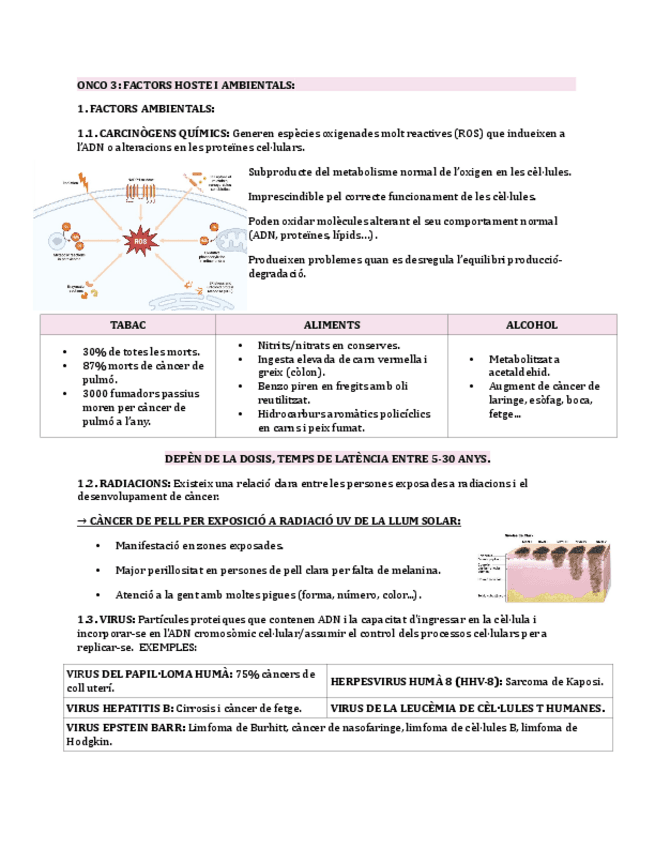 ONCO-3.pdf