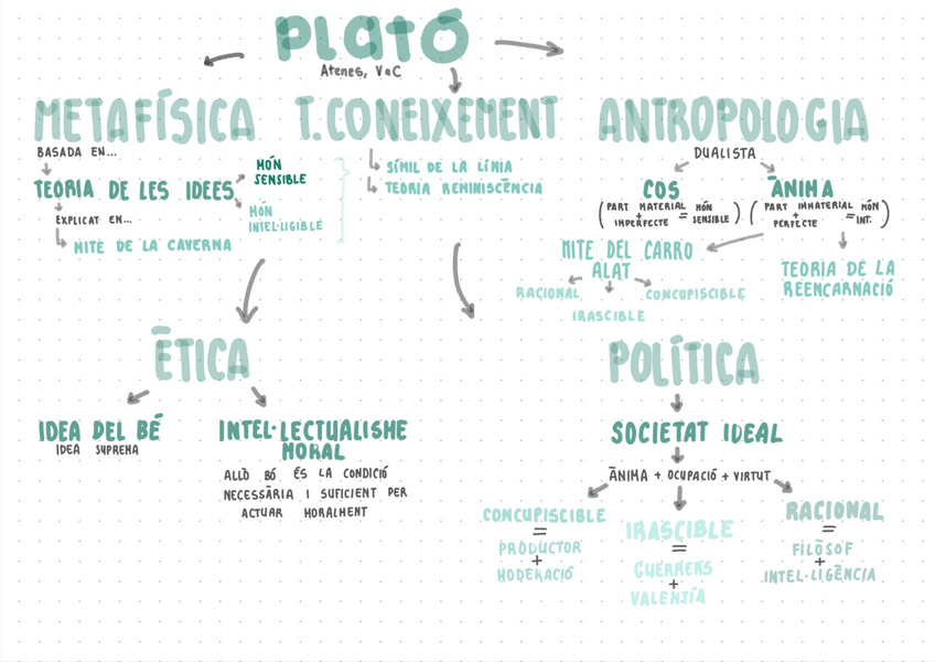 PLATON ESQUEMA.pdf