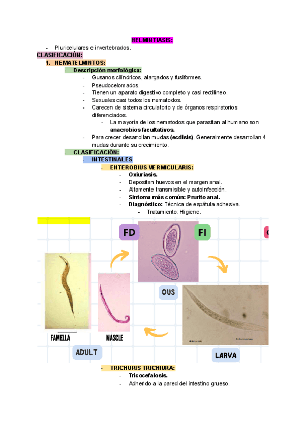 HELMINTIASIS.pdf