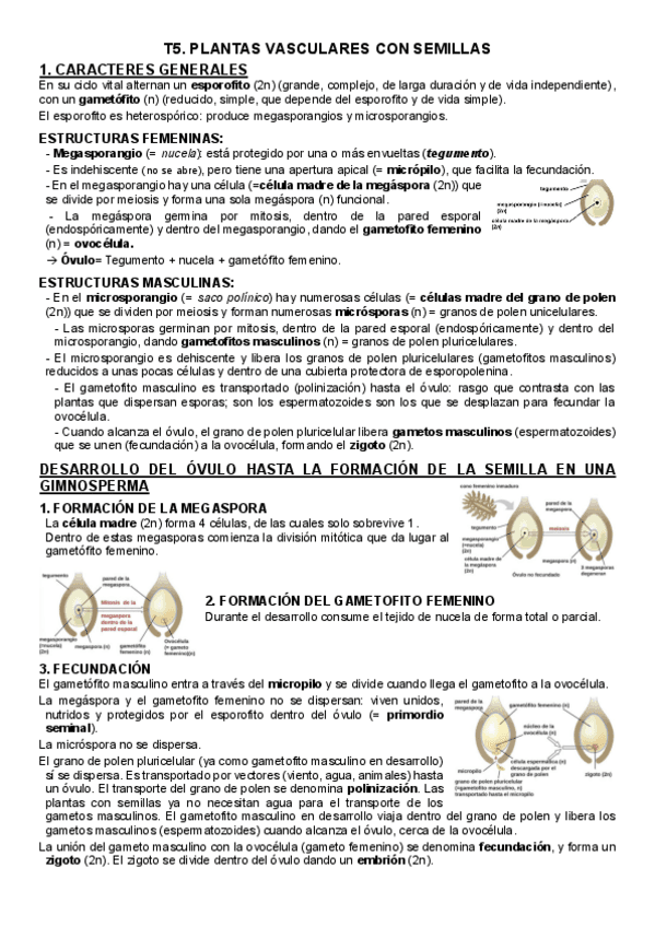 T5.-Plantas-vasculares-con-semillas.pdf
