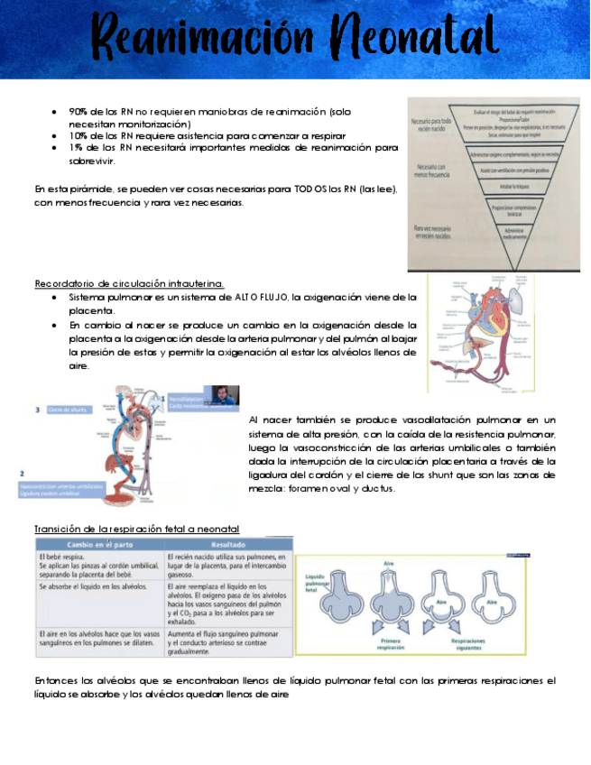 73.-Reanimacion-Neonatal.pdf