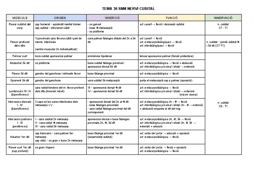 Tabla Musculatura 2n Quatri Pdf