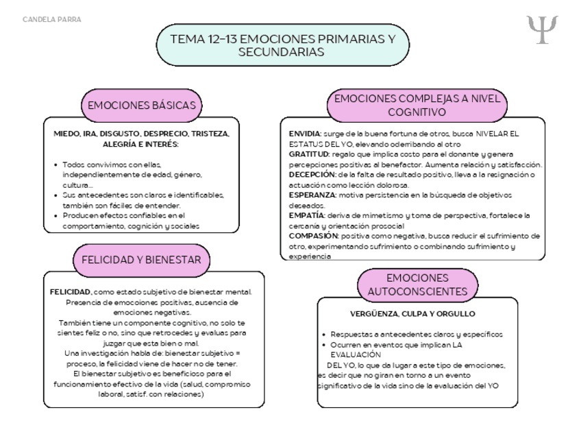 T-12-13-ESQUEMA-MYE.pdf