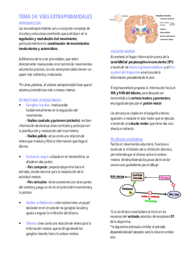 Tema-34.-Via-extrapiramidal.pdf
