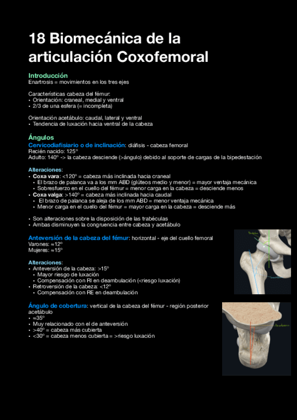 18-Biomecanica-de-la-articulacion-Coxofemoral.pdf