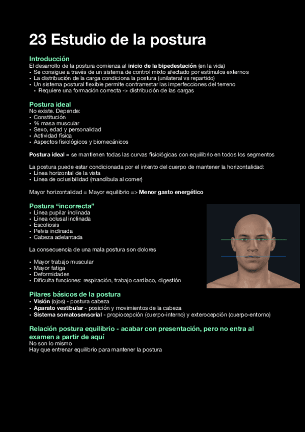 23-Estudio-de-la-postura.pdf
