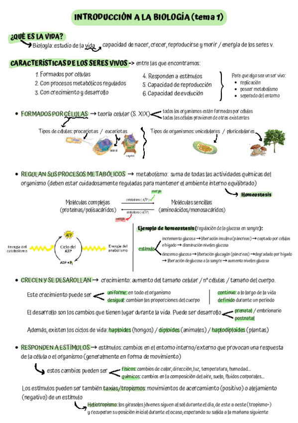 Tema-1-introduccion-a-la-biologia.pdf