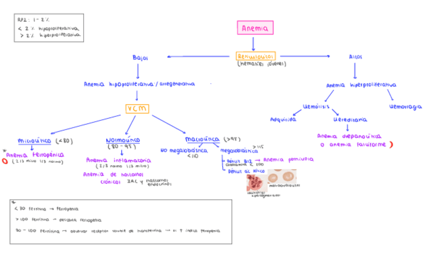 Esquema anemias.pdf
