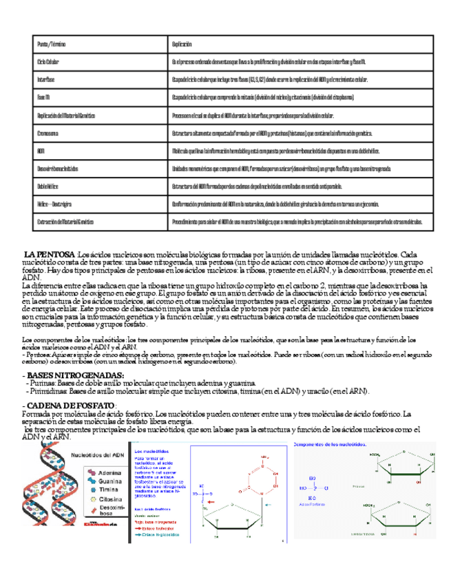 Tema2-BMC-Extraccion-acidos-nucleicos.pdf