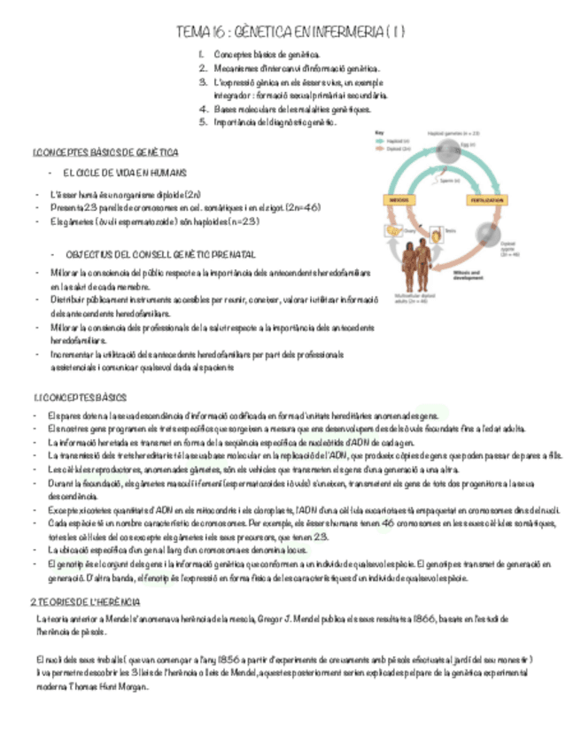 APUNTS-2-QUATRI-PART-BIOQUIMICA-I-BIOLOGIA.pdf