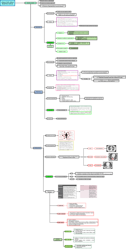 TEO-MED-INT-1-INFECCIONES-POR-VIRUS-RESPIRATORIOS.drawio.pdf