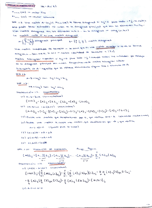 Tema 1: matrices.pdf