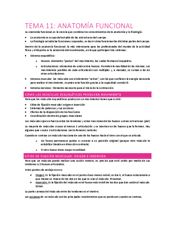 Tema-11.-Anatomia-funcional.pdf