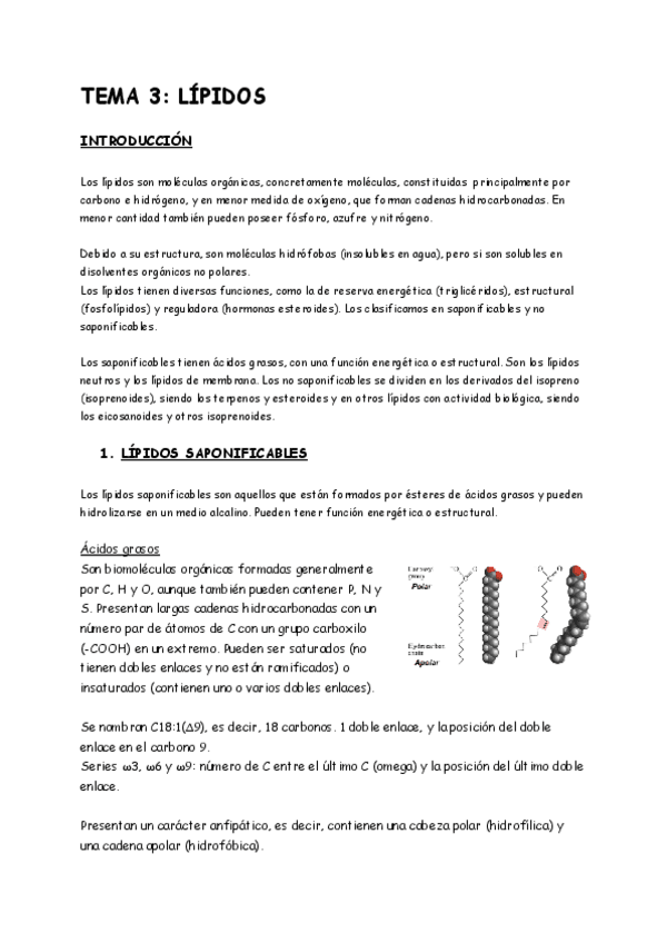 TEMA-3-LIPIDOS.pdf