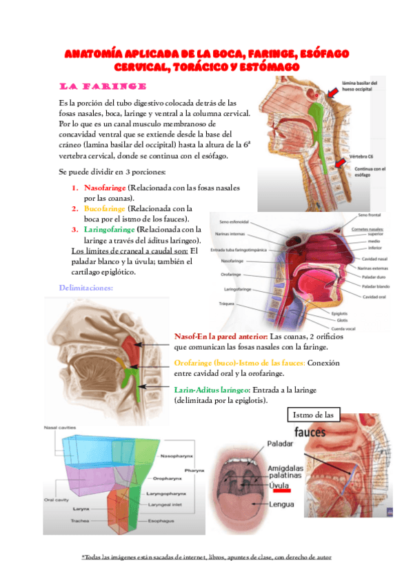 PRÁCTICAS TODO 2DO CUATRI (9-15)-ANATO.pdf