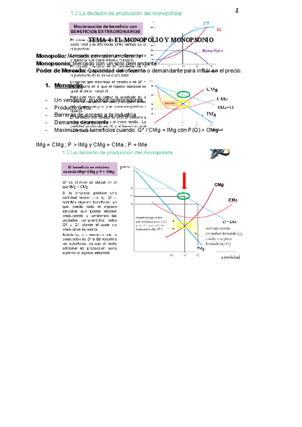 TEMA-4-RESUMEN-MICRO.pdf