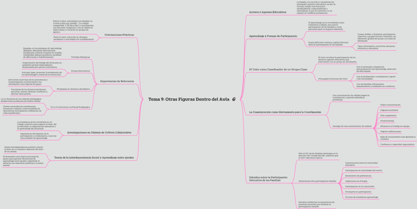 Esquema-Tema-9-Otras-Figuras-Dentro-del-Aula.pdf