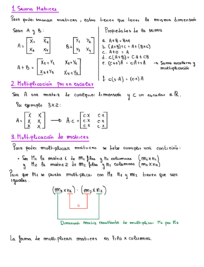 Tema 4_ Álgebra de Matrices .pdf