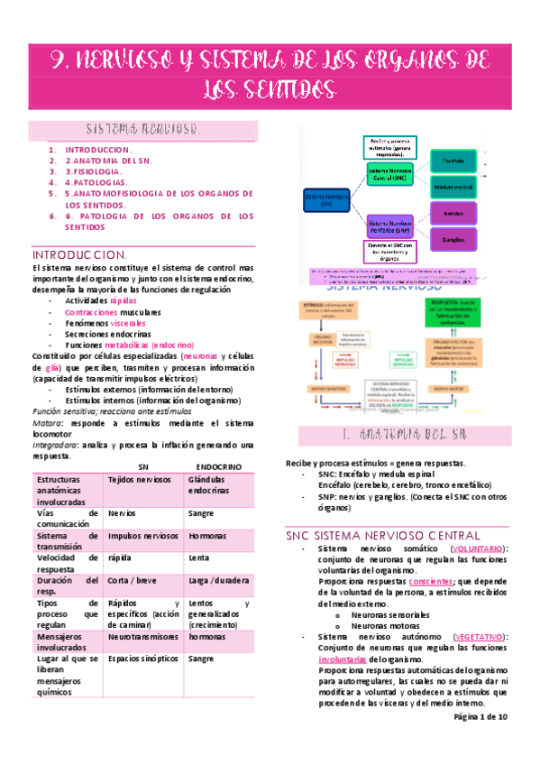 9.FPG.-9.-NERVIOSO.pdf