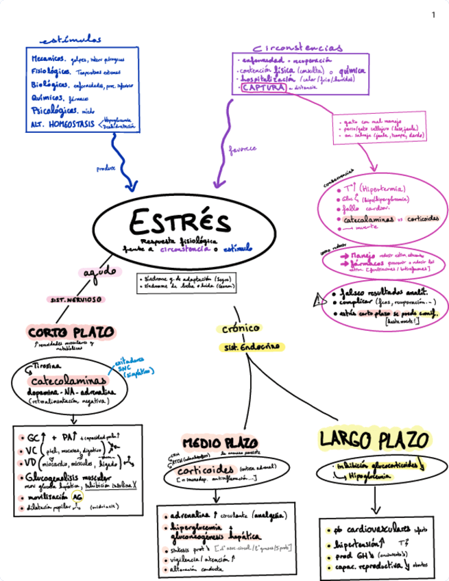 3o-parcial-trabajo-estres-por-captura-mapa-mental.pdf