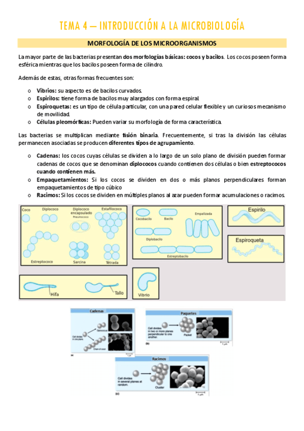 Tema-4-Introduccion-a-la-microbiologia.pdf