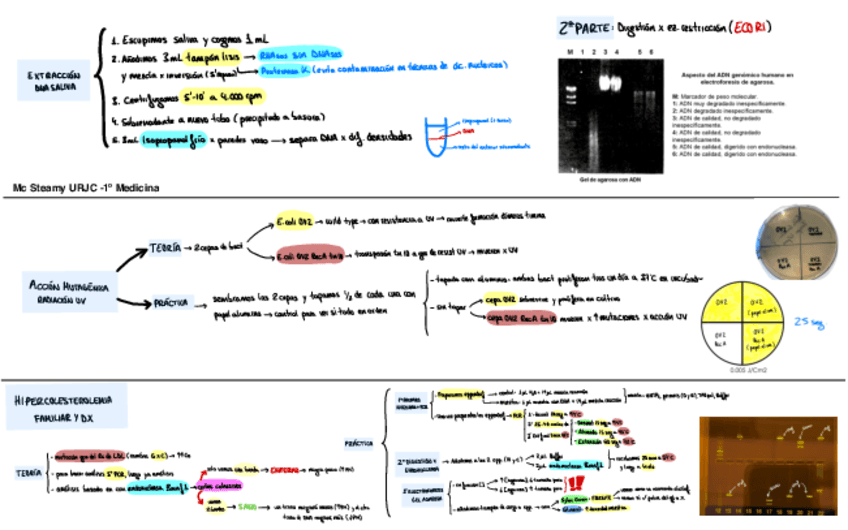 Esquema-de-TODO-examen-Practicas.pdf