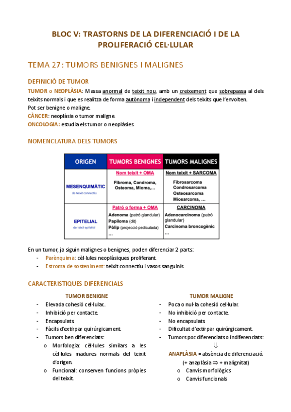 Apunts-tot-BLOC-V-Tumors.pdf