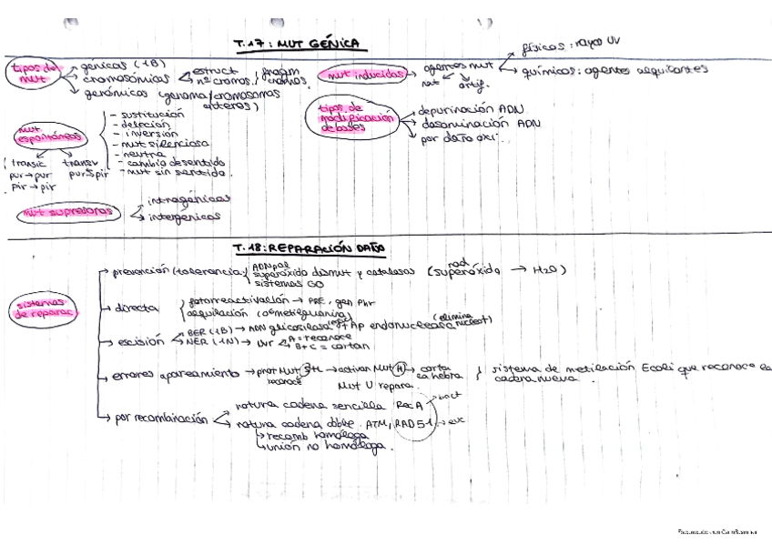 Esquemas-2o-parcial.pdf