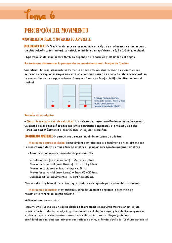 Tema 6 Percepcion Pdf