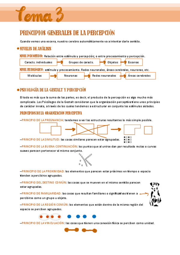TEMA-3-PERCEPCION.pdf