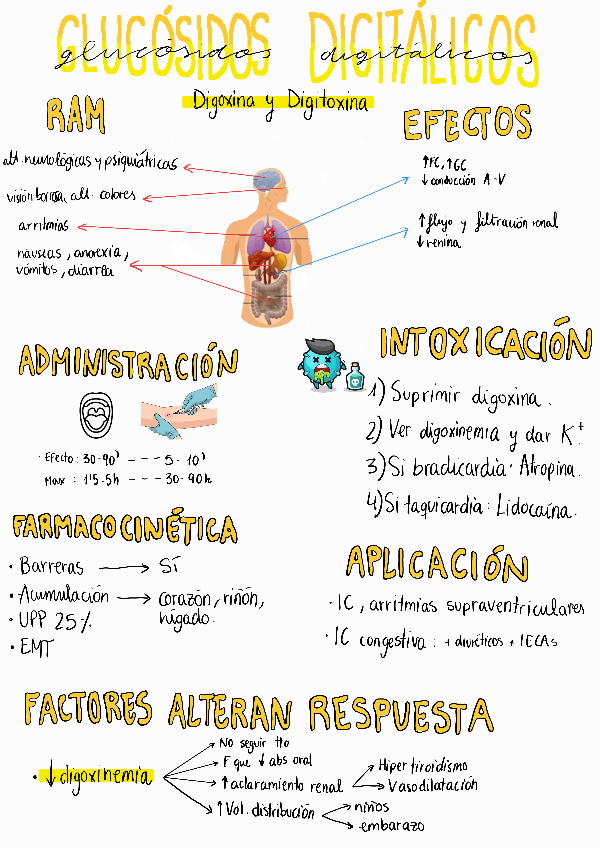 ESQUEMAS-FARMA.pdf