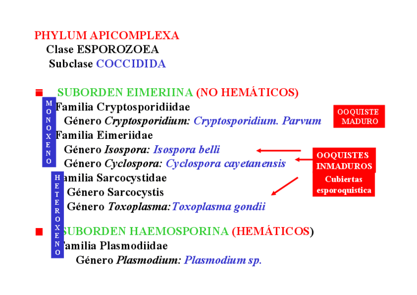 tema-16.pdf
