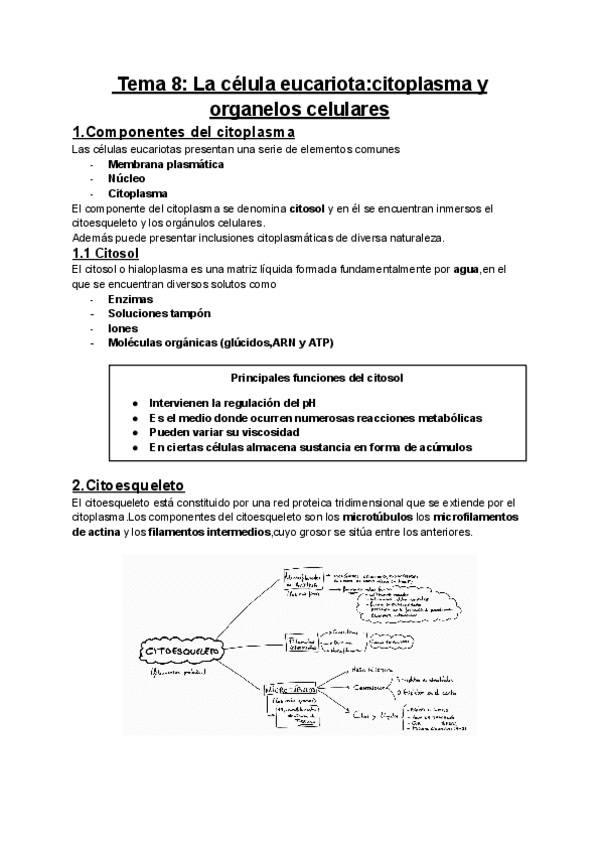 Tema8-La-celula-eucariota-citoplasma-y-organulos-celulares.pdf
