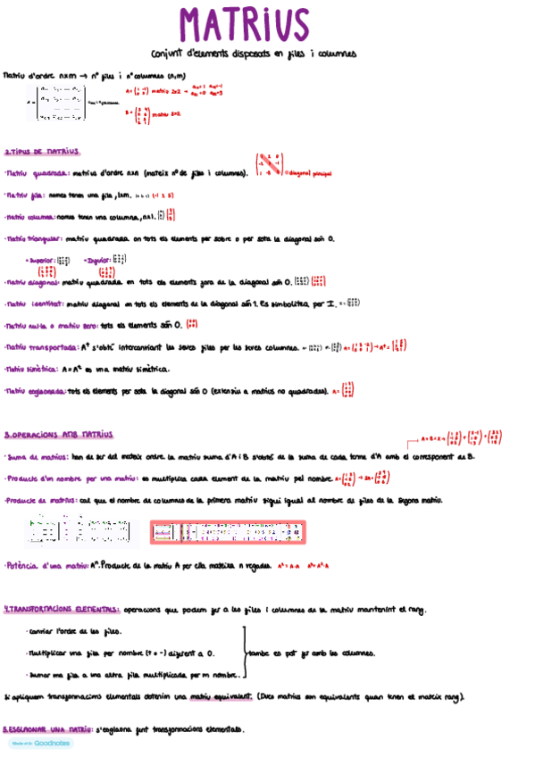 Matrius-amb-exemples.pdf