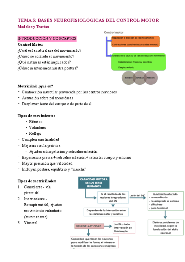 Tema-5-bases-neurofisiologicas-y-control-motorpdf.pdf