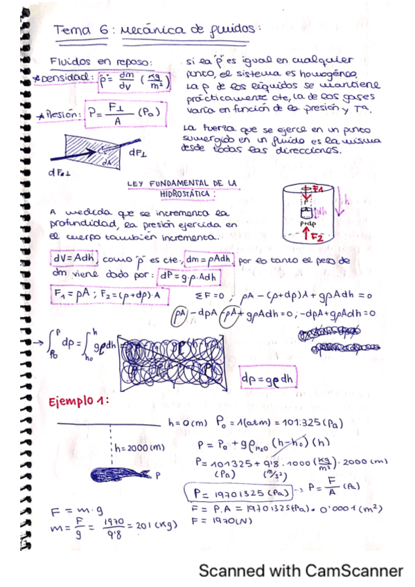 Fisica-tema-6-fluidos.pdf